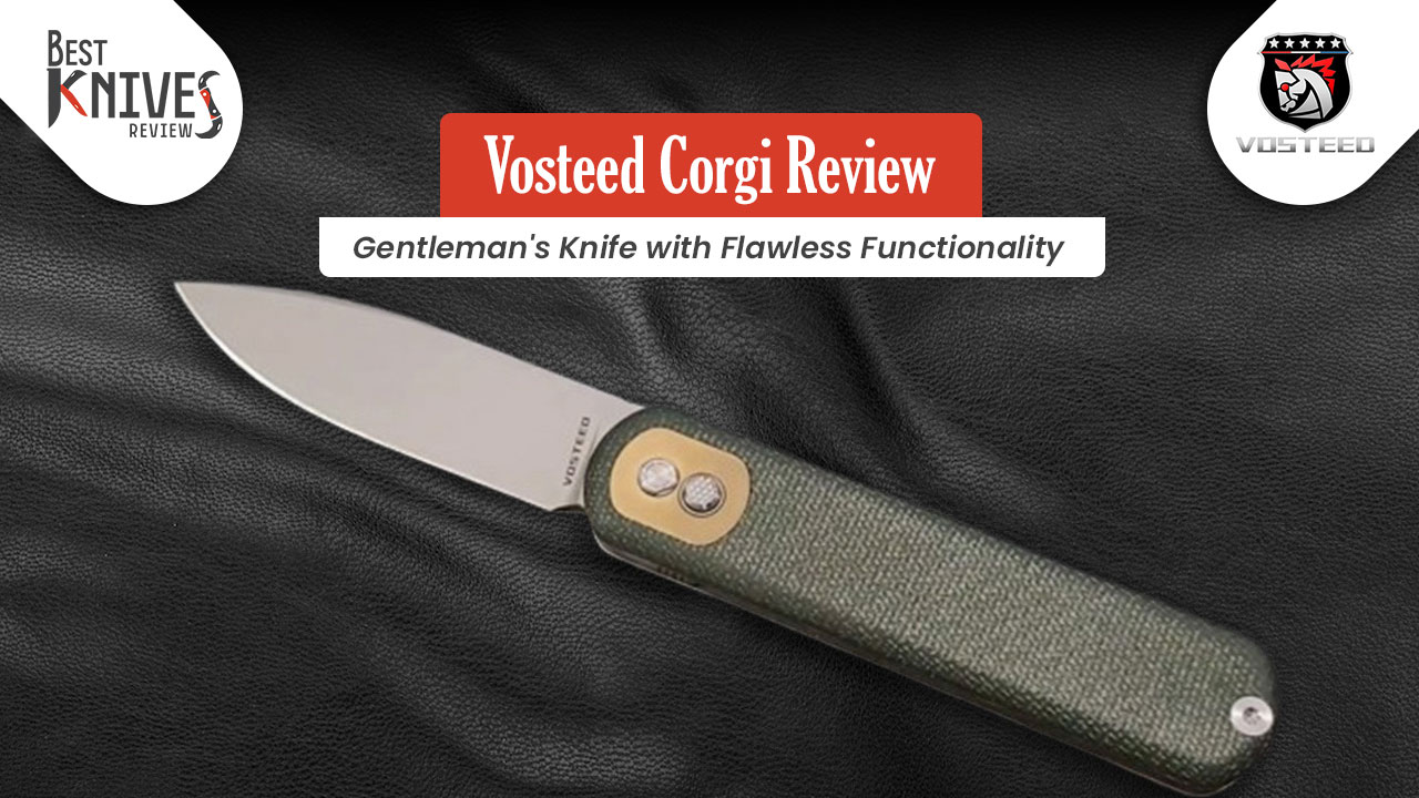 Vosteed Corgi Review - Best Knives Reviews